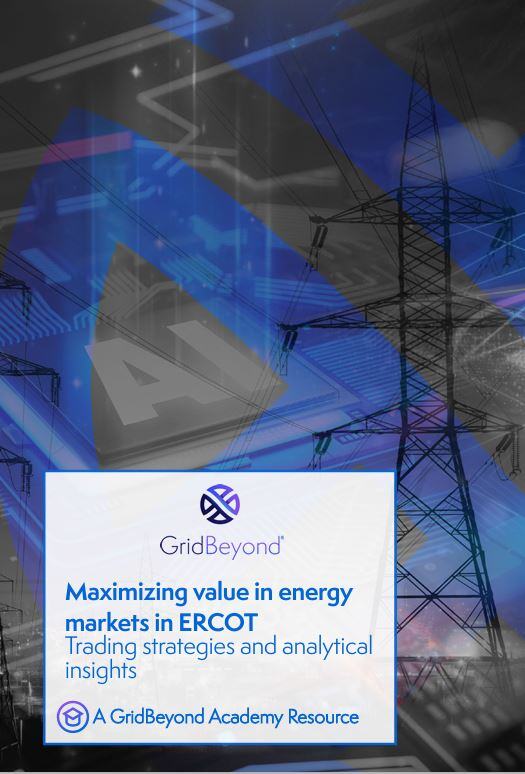 GridBeyond - Maximizing value in energy markets in ERCOT: Trading strategies and analytical insights